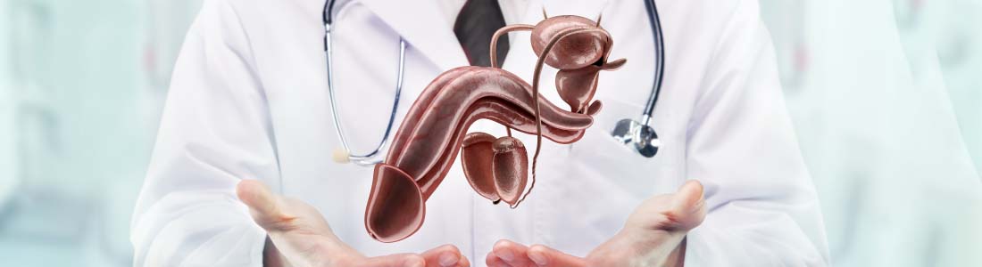 Nowotwór prącia Czym jest? | Krajowy Rejestr Nowotworów